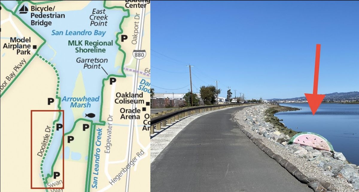 New Bay Trail Segment Opens – Bike Walk Alameda